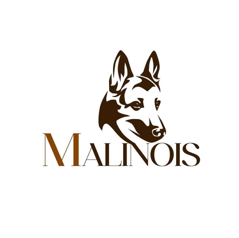 Malinois Cachorros Disponibles - Criadero Malinois